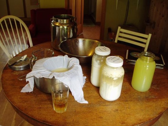 Znate li koliko je surutka zdrava? | LifePress magazin