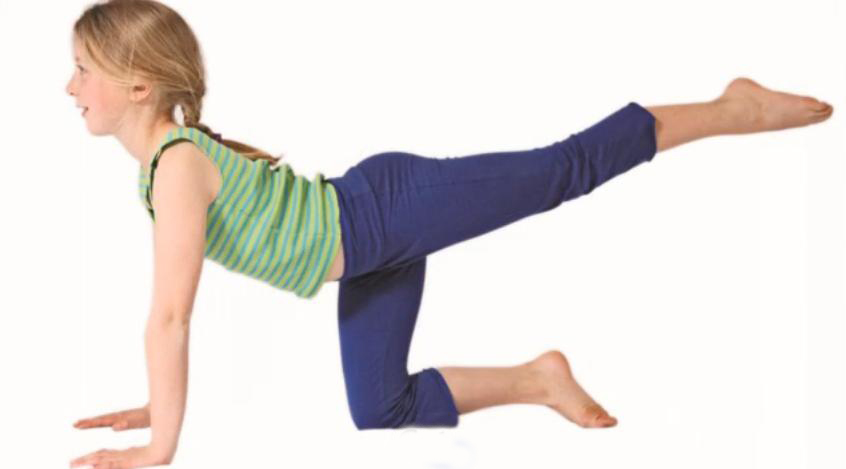 Kako nas životinje inspirišu da radimo jogu – zanimljivi VIDEO ...